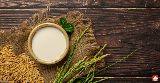 The Best Gangtok Street Foods – Food Next Door