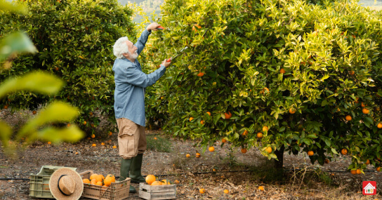 Savoring the Seasons: Ayurvedic Seasonal Eating for Optimal Health ...